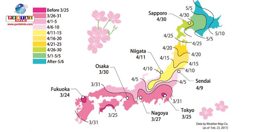 Previsión de temporada del sakura en las regiones de Japón - Para Japón ...